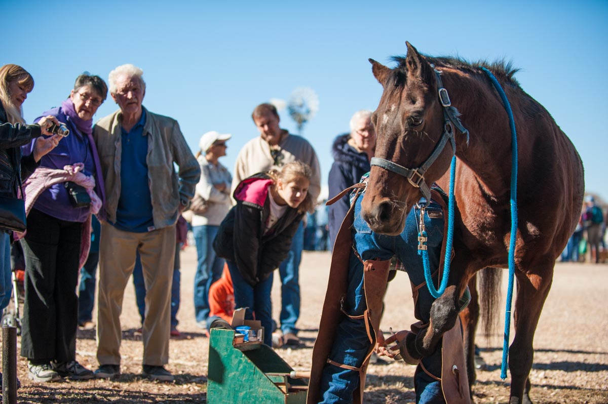 Welcome to the 2017 Homestead Fair! - Homestead Fair