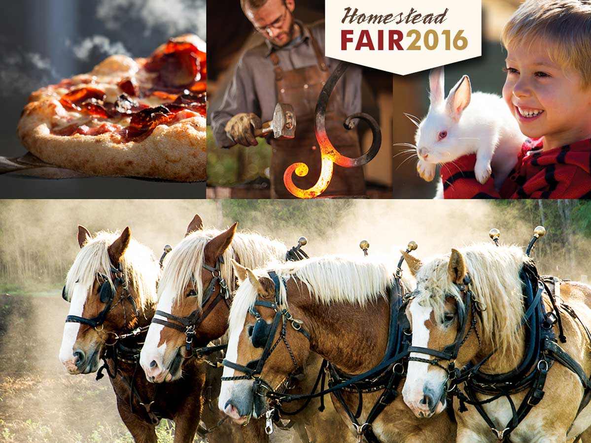 2016 Fair Extended Through Sunday - Homestead Fair
