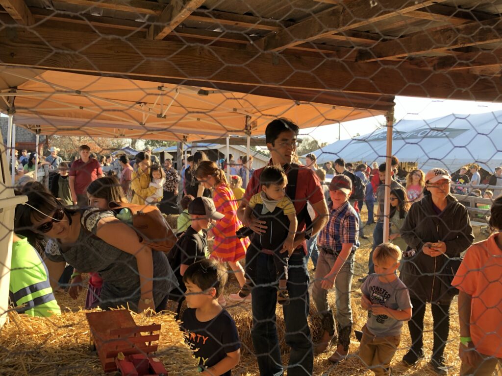 Petting Pen - Homestead Fair